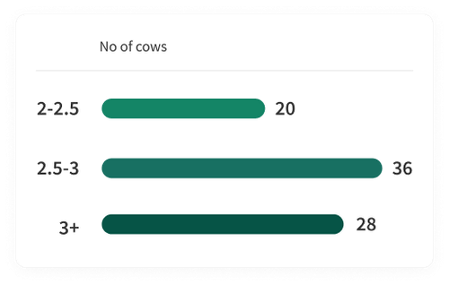 HerdVision | Automated cow health and productivity monitoring